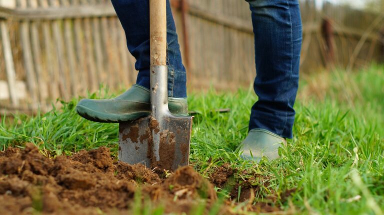 Digging over old lawn – Catherine and Adam’s garden