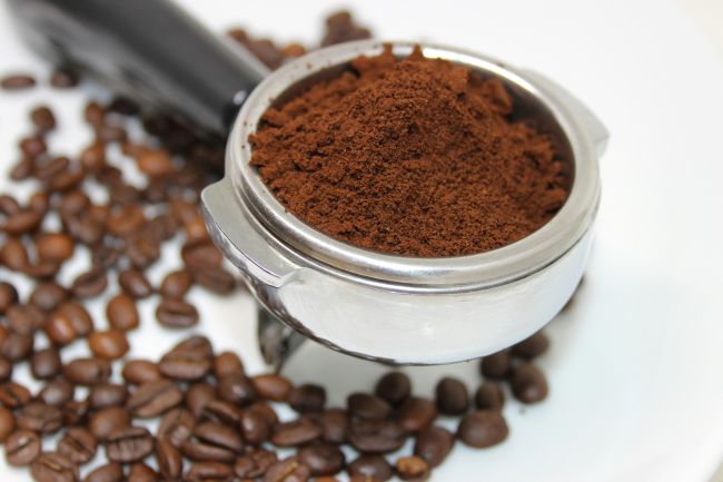Using Coffee Grounds in the Garden: Benefits, Risks, and the Importance ...