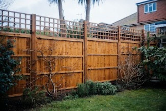 How Quality Garden Fencing Can Improve Your Property - GardenAdvice AI ...