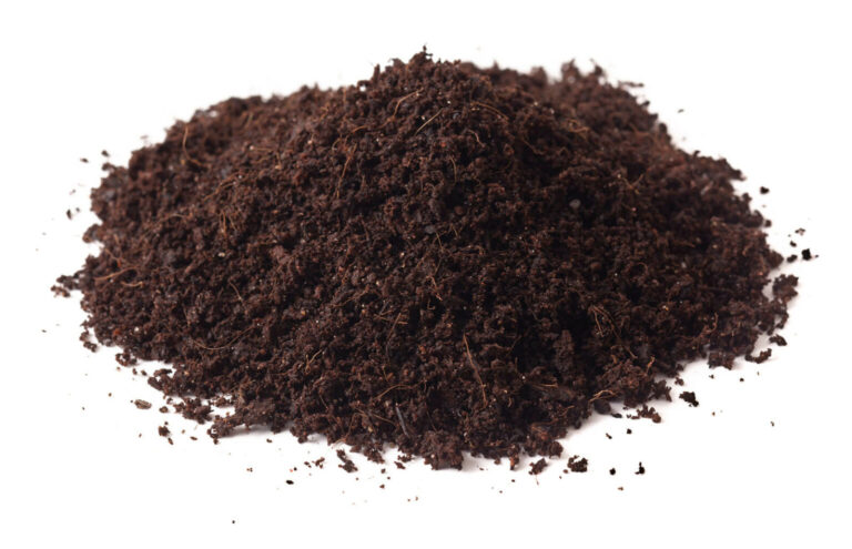 Mulching Flower Borders: Protecting Your Plants During Drought and ...