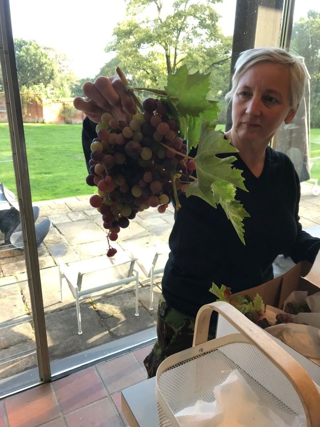 Growing Grapes in the UK: Embrace the New Era of Outdoor Cultivation ...