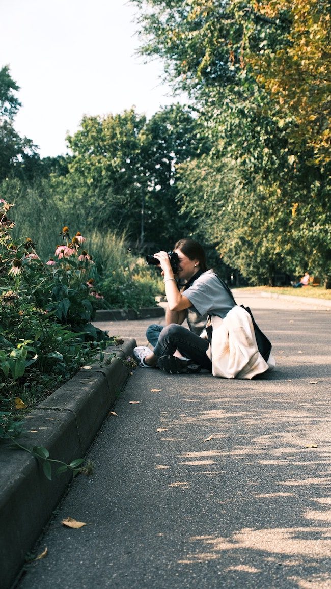 7 Themed Photobook Ideas to Showcase Your Garden – GardenAdvice.co.uk
