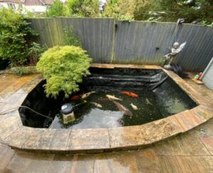 How to Maintain Your Pond Through the Seasons: A Year-Round Guide ...
