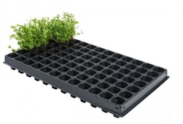 Wildflowers from seed using plugs - GardenAdvice.co.uk