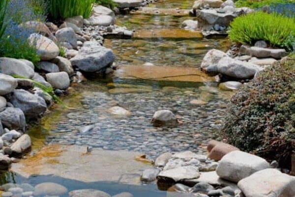 Creating a stream in your garden – GardenAdvice.co.uk