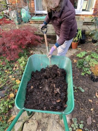 How to compost autumn leaves - GardenAdvice.co.uk