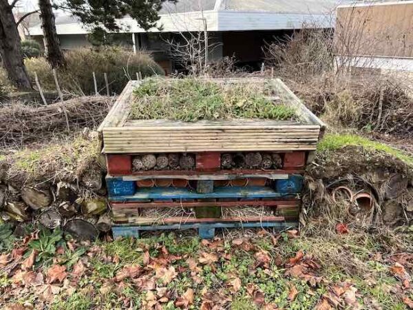 Creating a wildlife shelter in your garden for birds and insects ...