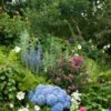 Garden Bank planting ideas with AI images - GardenAdvice.co.uk