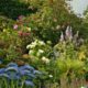 Garden Bank planting ideas with AI images - GardenAdvice.co.uk