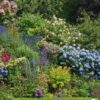 Garden Bank planting ideas with AI images - GardenAdvice.co.uk