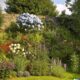 Garden Bank planting ideas with AI images - GardenAdvice.co.uk